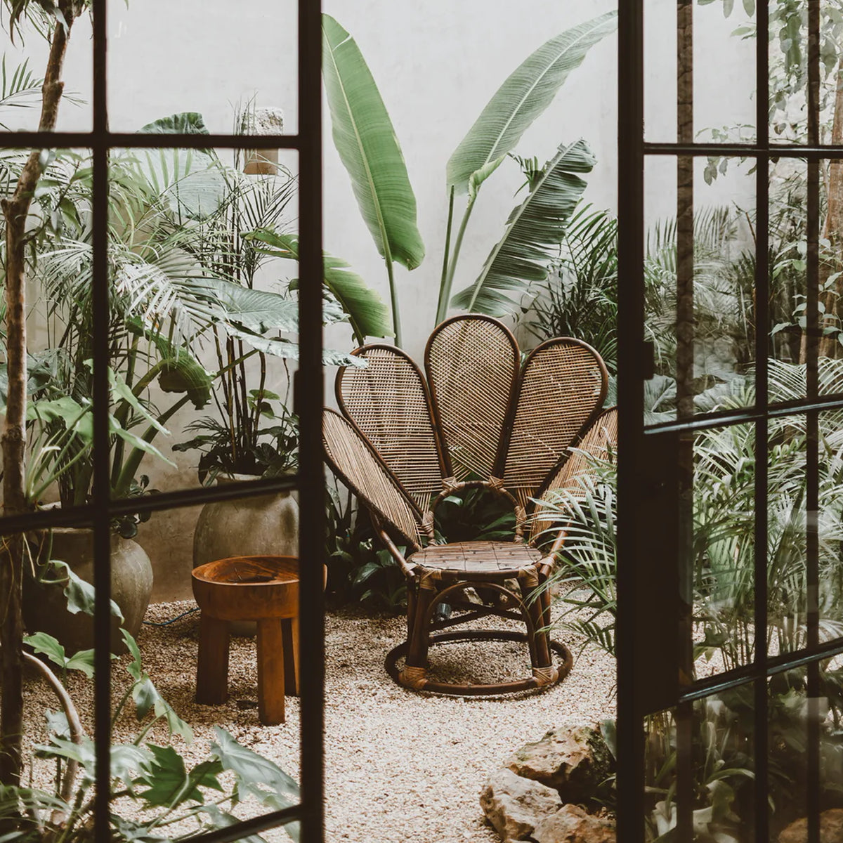 Silla Leonor – Dikat