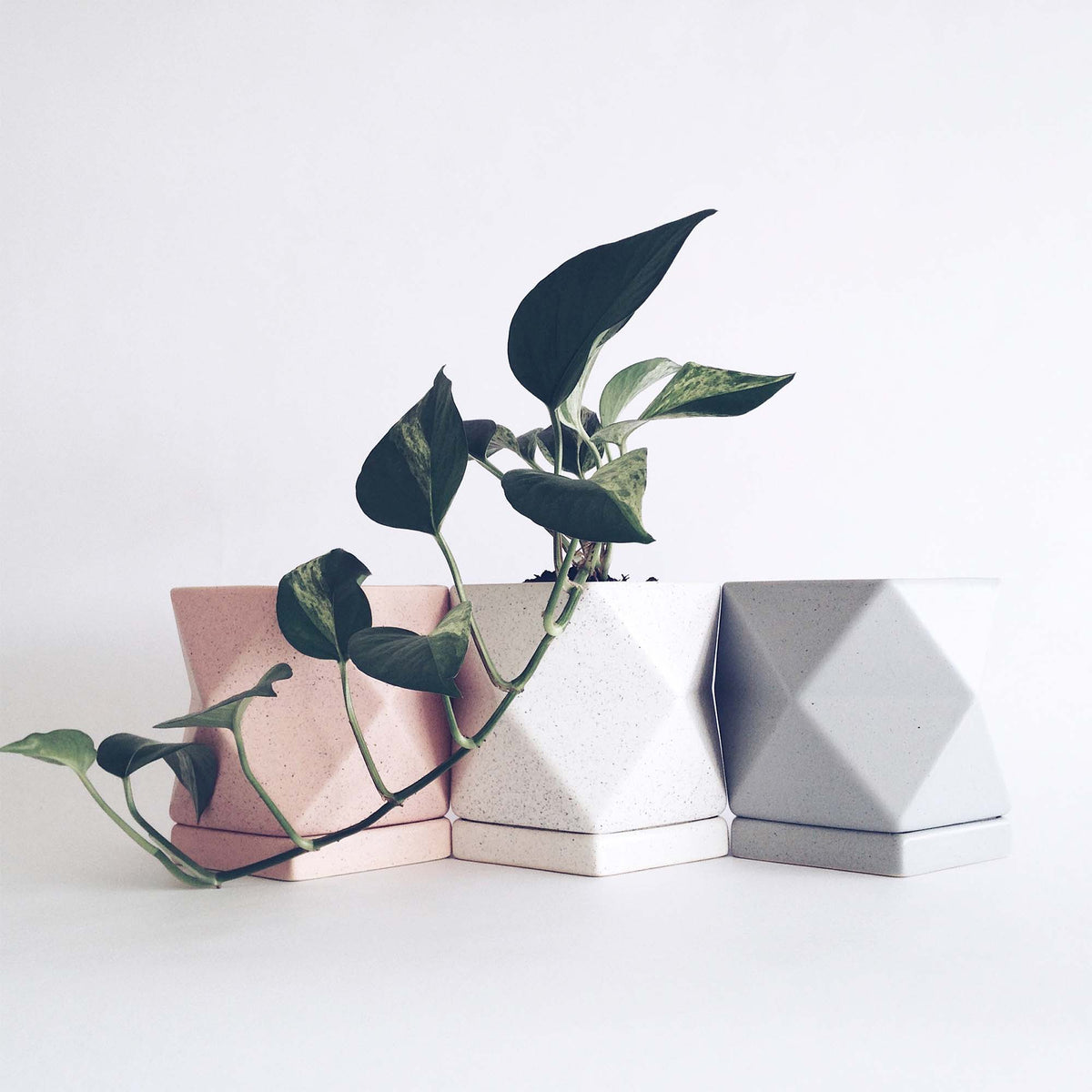 Maceta Pentagonal – Dikat