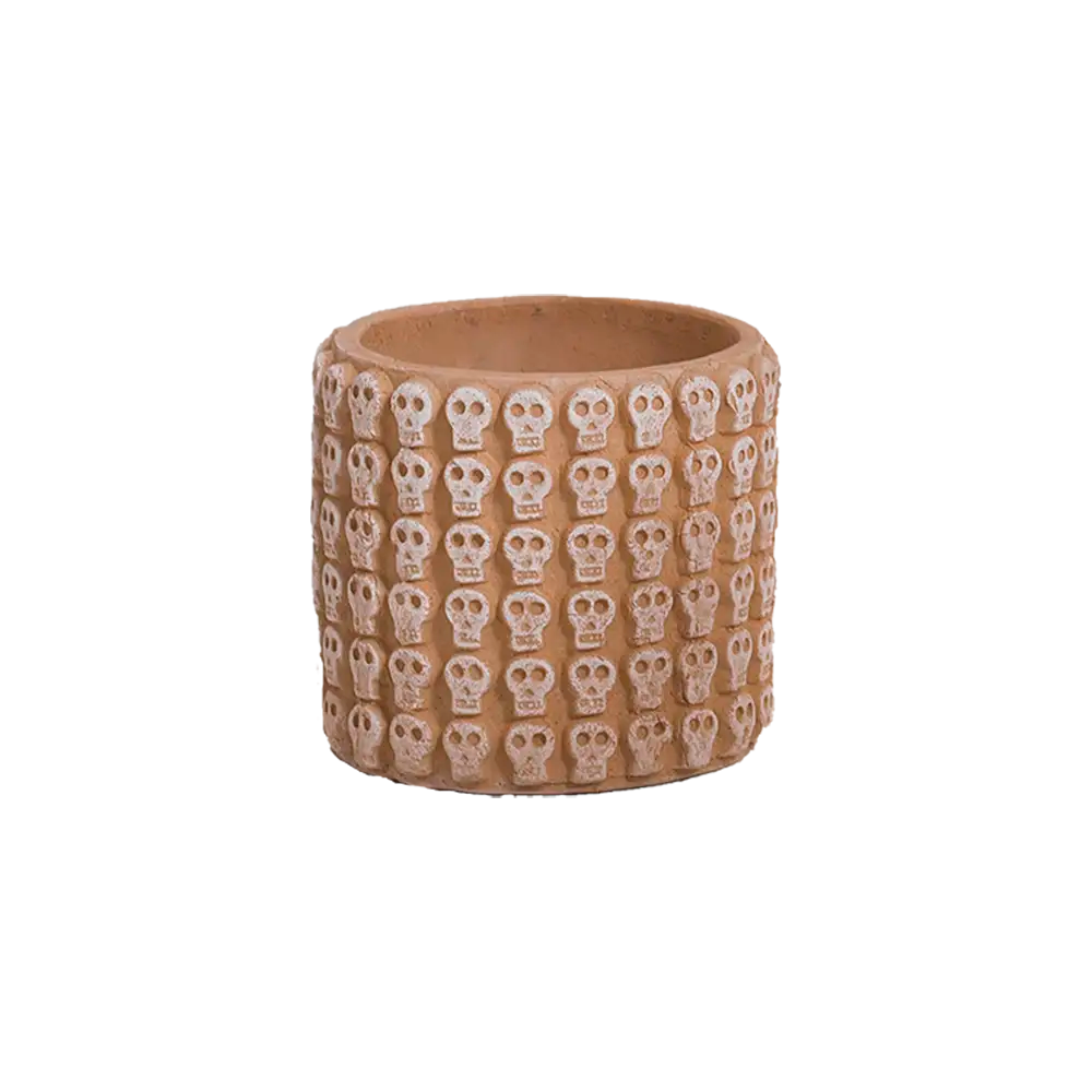Maceta Pantli – Dikat